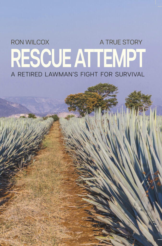 Rescue Attempt - Seahill Press